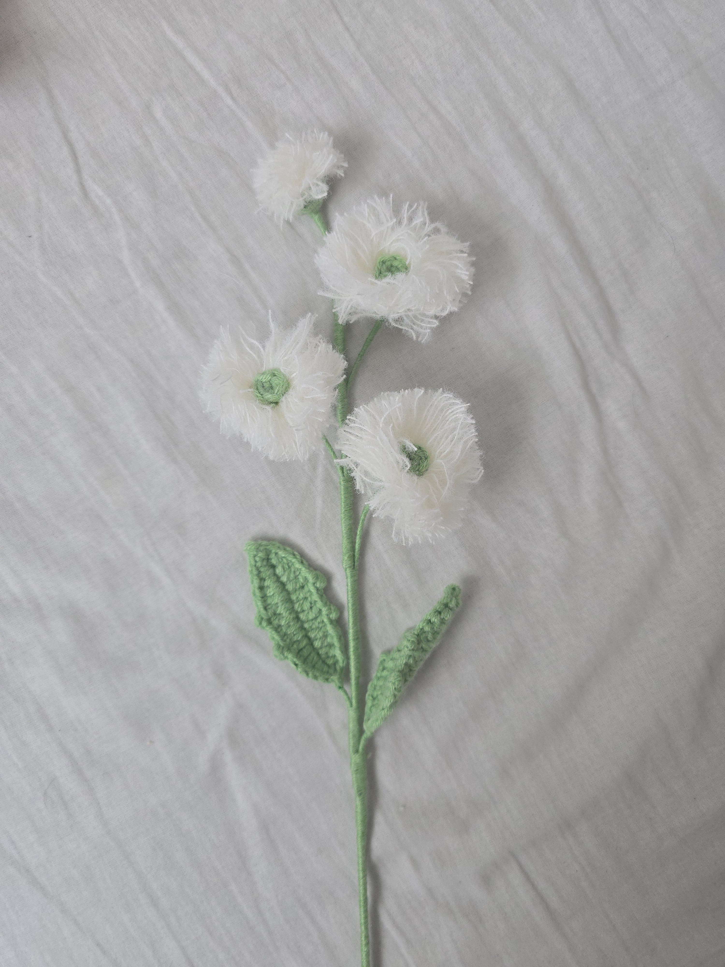 Puff Flower – The Botanical Market